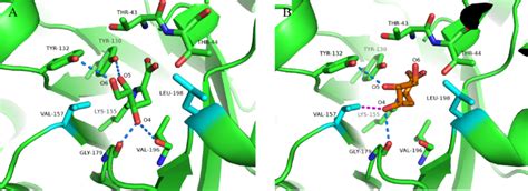 Active Site Structure Of Sskdg Aldolase Variant 3 Shown In Green With