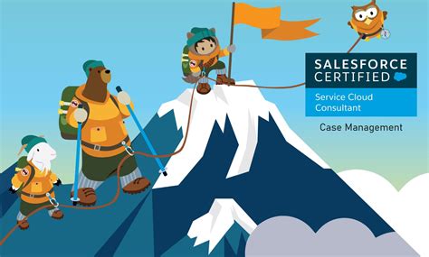 Salesforce Service Cloud Consultant Exam Preparation Case Management