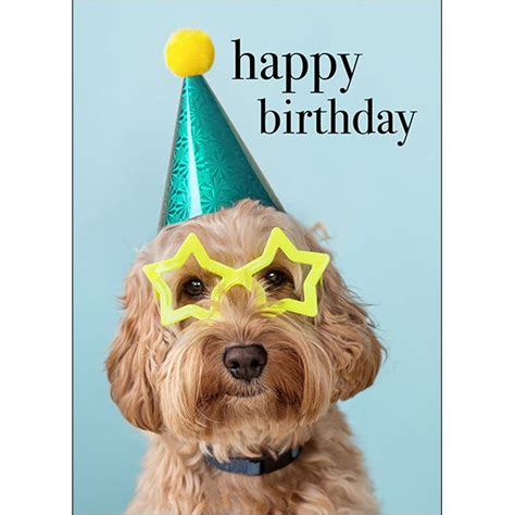 Cute Animal Birthday Card Ideas Happy Birthday Party Animal Quotes
