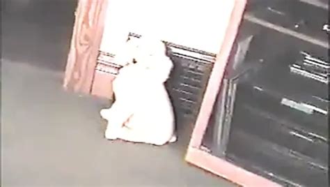 Free Bear Group Orgy Gay Porn Videos XHamster Free Bear Group Orgy Gay Porn Videos XHamster