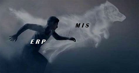 Deploying An Epr Implementation Blueprint Based On Mis