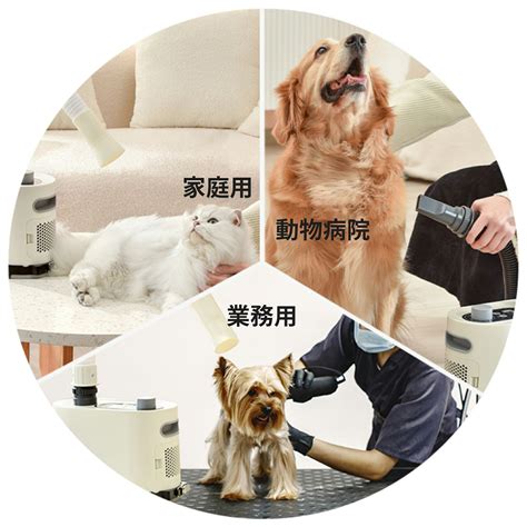 【楽天市場】23日～最大2000円クーポン有り／ Kamelun ペットドライヤー 業務用 犬 ドライヤー 猫 静音 簡単操作 大風量