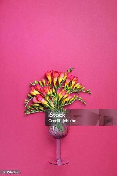 분홍색 배경에 봄 Freesia 꽃 빈 와인 잔 맨 위 보기 플랫 레이 공간을 복사합니다 여름과 봄 컨셉 최소한의 스타일 아트 디자인 0명에 대한 스톡 사진 및 기타 이미지