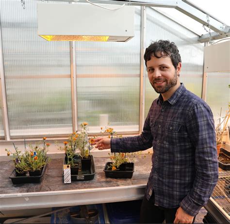 Fresh As A Daisy May Now Mean Flirtatious And Naughty Florists Review