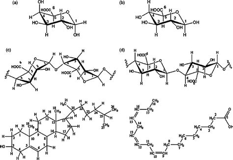 Structure Of Galacturonic Acid A Glucuronic Acid B Galacturonic