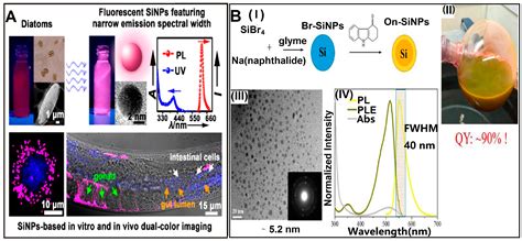 Recent Advances In Silicon Nanomaterial Based Fluorescent Sensors