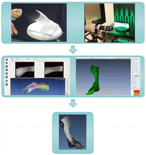 Steps Of 3d Optical Scanning Download Scientific Diagram