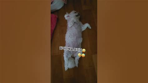 모습을드러낸오늘의주인공 Youtube