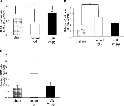 Anti Hmgb1 Neutralizing Antibody Attenuates Periodontal Inflammation And Bone Resorption In A