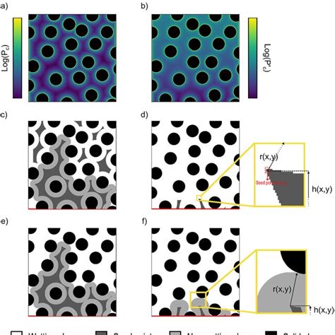 Schematic Of Seeding Process And Subsequent Placing Of Disks Using The Download Scientific