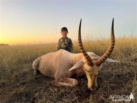White Blesbok Hunt South Africa