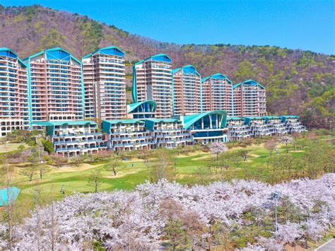 소노펠리체 비발디파크 홍천 숙박 숙소 주호텔패키지