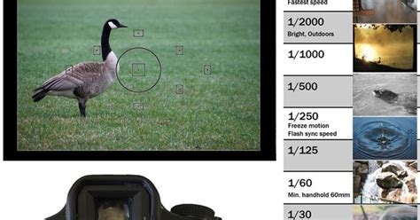 Top 5 Posts About Camera Settings Learning Photography Photography Basics Camera Settings