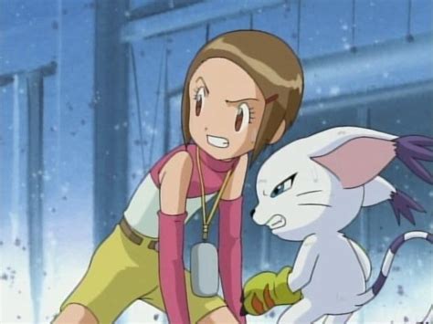 Pin By Samuel Aguiar On Kari Kamiya Digimon Wallpaper Digimon Adventure Digimon Digital Monsters