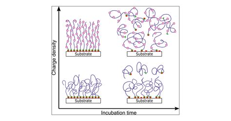 Spontaneous Degrafting Of Weak And Strong Polycationic Brushes In