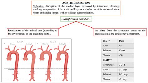 What Is The Difference Between Aortic Dilation And Aortic