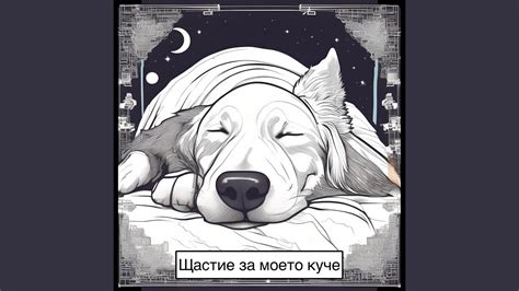 Дъждовни капки Youtube