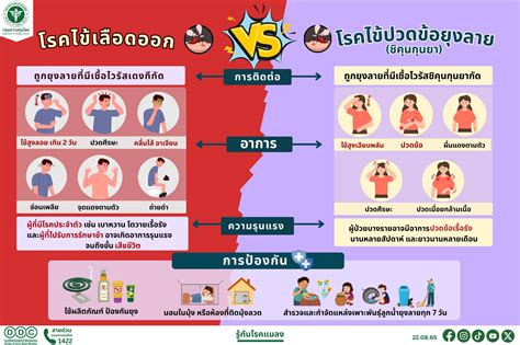 กดดู 📢 กองโรคติดต่อนำโดยแมลง ขอประชาสัมพันธ์ Infographic เคยรู้ไหม ยุงลายกัดเหมือนกัน แต่