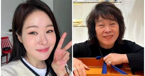 미자 유튜브 수입 얼마길래258만원 명품 L사 신상으로 효도