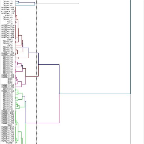 dendrogram showing clustering pattern of 86 cotton genotypes download