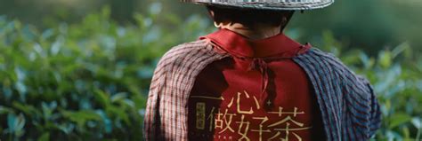 岩香百谷韵自成武夷星百谷 天艺传媒