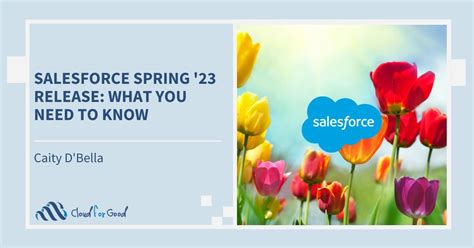 Salesforce Spring 23 Release What You Need To Know Cloud For Good