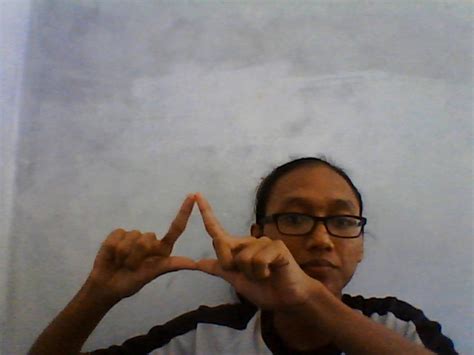 Bisindo Detection Object Detection Dataset By Tugas Akhir Qhismu