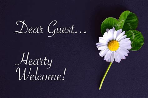 Access Host Services From A Virtualbox Guest Os