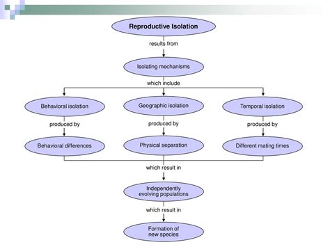 Evolution Speciation Ppt Download