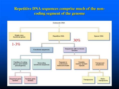 Ppt Dna Is Made Up Of Subunit Building Blocks Called Nucleotides Powerpoint Presentation Id Ppt Dna Is Made Up Of Subunit Building Blocks Called Nucleotides Powerpoint Presentation Id