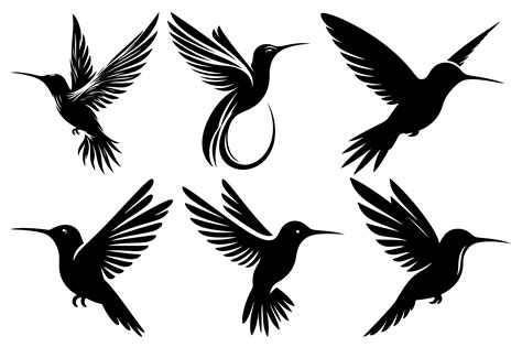 Humming Bird Vector Illustration Graphic By Creative Designs · Creative