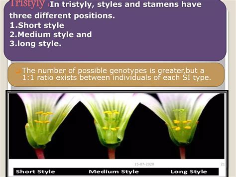 Self Incompatibility Ppt