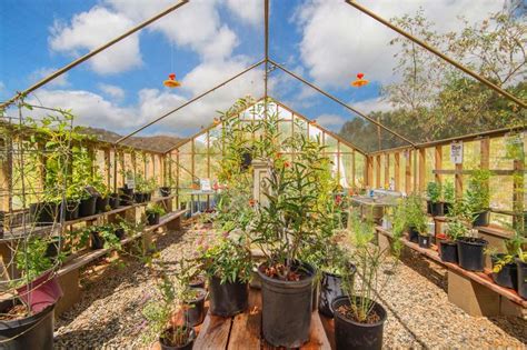 Butterfly Day In Topanga