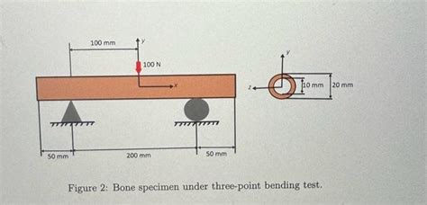 Solved Question 1 10 Pts A Linearly Elastic Homogeneous