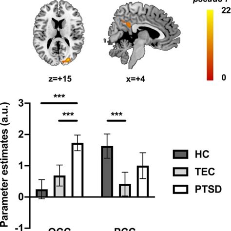 Comparison Of Patterns Of Intrinsic Connectivity Network Centrality