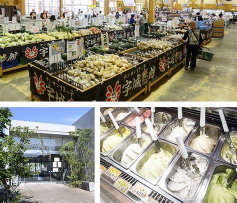 サンサンうきっ子宇城彩館 道の駅うき｜宇城市の物産館 ｜ 宇城市観光サイトuki Trip（ウキトリップ）