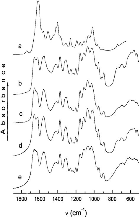 Comparison Of Ir Spectra Shown In Absorbance Of A And B Chitin Download Scientific Diagram