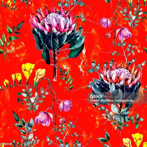 오초 프로 테아 잎 프리지아 및 나뭇 가지의 수채화 패턴 꽃 무음 패턴 직물 직물 벽지 배경 표지 포장지의 디자인 0명에 대한 스톡 벡터 아트 및 기타 이미지 Istock