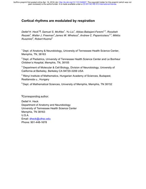Pdf Cortical Rhythms Are Modulated By Respiration