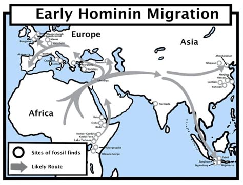 Early Humans Migration Map Activity With Questions By Shoestring Hill
