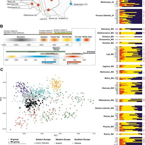 Spatiotemporal Distribution Of Samples And Their Genetic Affinities To