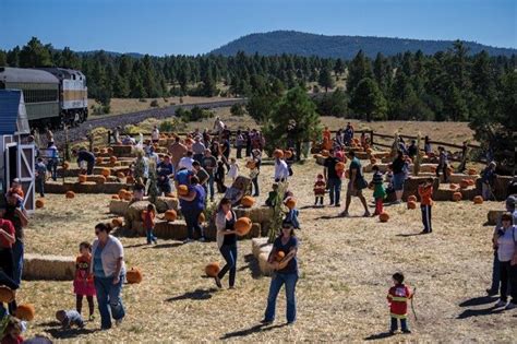 The Pumpkin Patch Grand Canyon Grand Canyon Railway Arizona Day