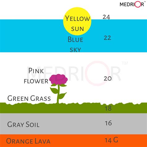 Health Remarks Iv Cannula Colour Code Trick To