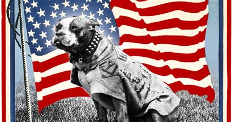 Meet Sergeant Stubby The Most Decorated War Dog In History The