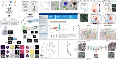 Microscopy Preprints Bioimage Analysis Tools Focalplane