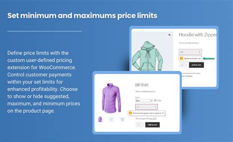 WooCommerce Role Based Pricing Custom User Defined Price