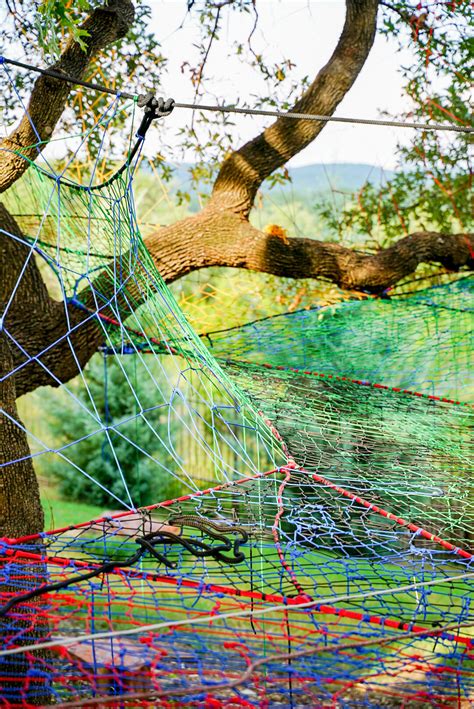 Six Oaks Tree Net Tree Weaves Six Oaks Tree Net Tree Weaves