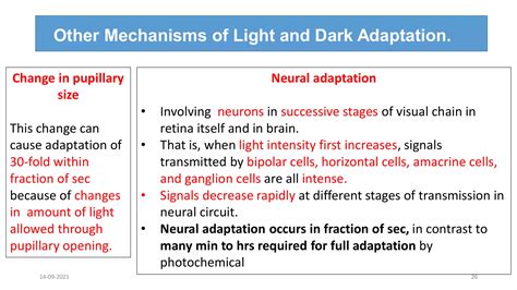 Lecture 7 2022 Special Senses Vision 7 Physiology Of Vision Visual Perception Ppt