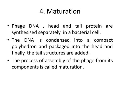 Structure Of Virus Pptx