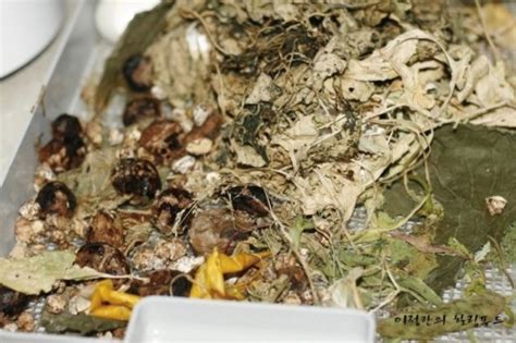 베란다 농부의 슬기로운 친환경 퇴비 생활